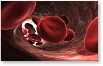 Severe Injury Treatment Kit